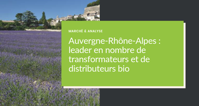 Auvergne-Rhône-Alpes : leader en nombre de transformateurs et de ...